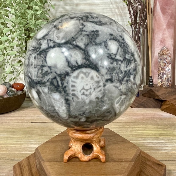 Accents | 15 Off Spring Sale Stunning Large Crinoid Fossil Stone Sphere ...